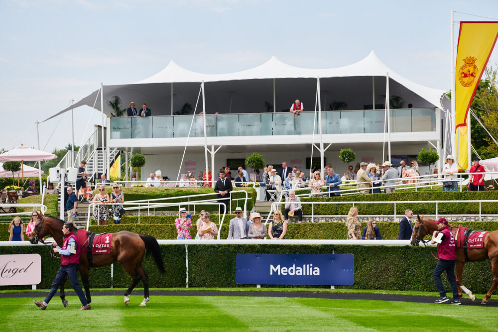Groupoodwood Racecourse Parade Ring | Hospitality | The Halo
